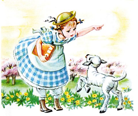 Mary Had A Little Lamb Cartoon