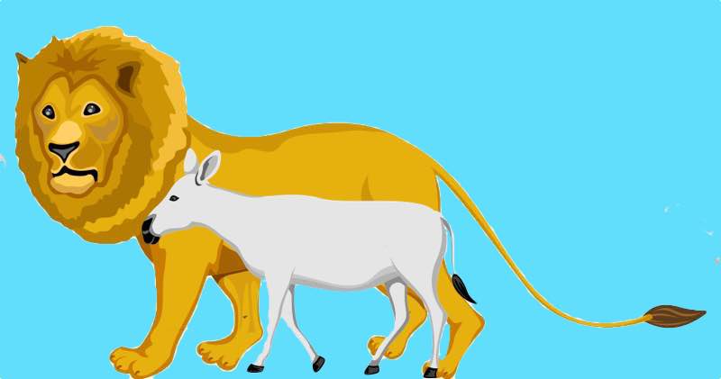 The Donkey and the Lion - Storynory