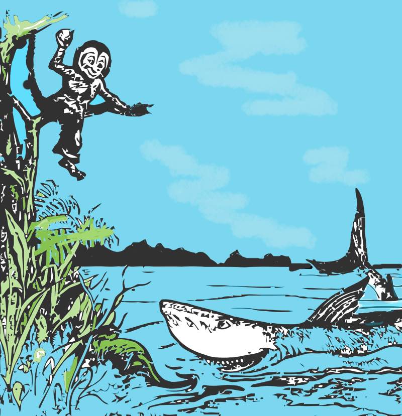 The Monkey and the Shark - Storynory