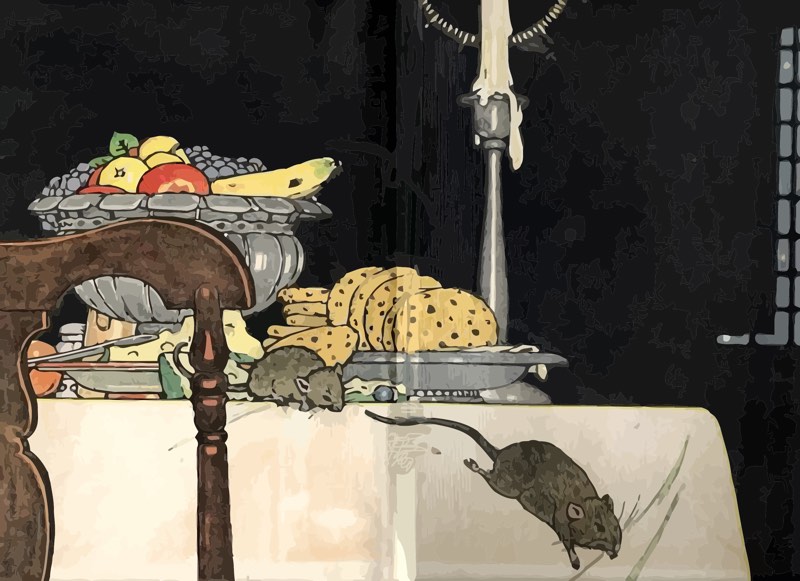 The Town Mouse and the Country Mouse - Storynory