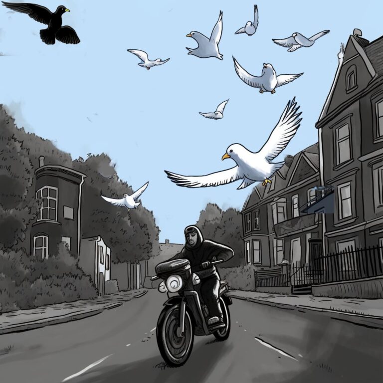 Birdy and the other bird - Storynory